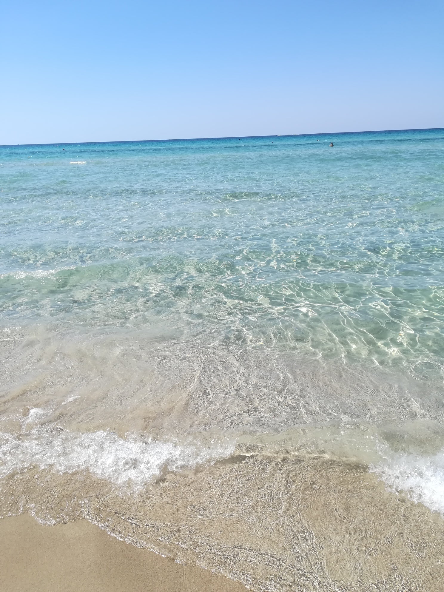 Chi siamo - Mare Libero Chi siamo - Mare Libero
